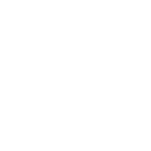 SSAT's Leadership Programmes